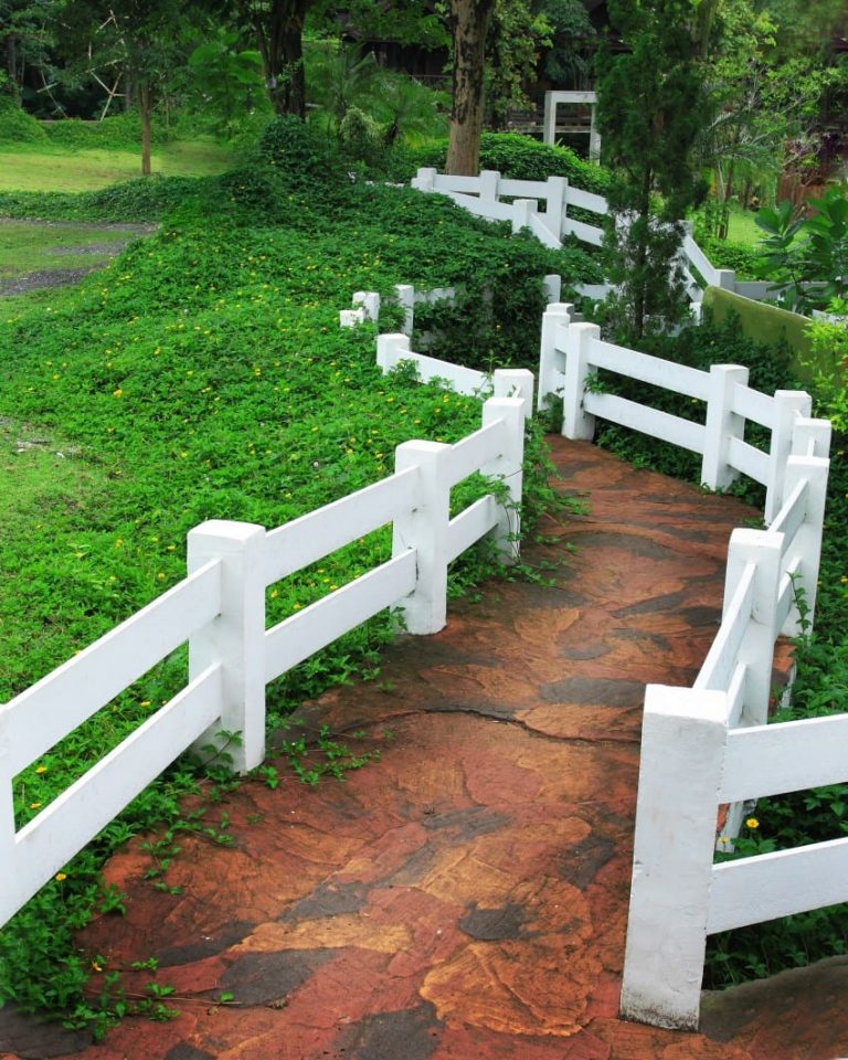 Fence Styles and Designs for Backyard-Front Yard (IMAGES)
